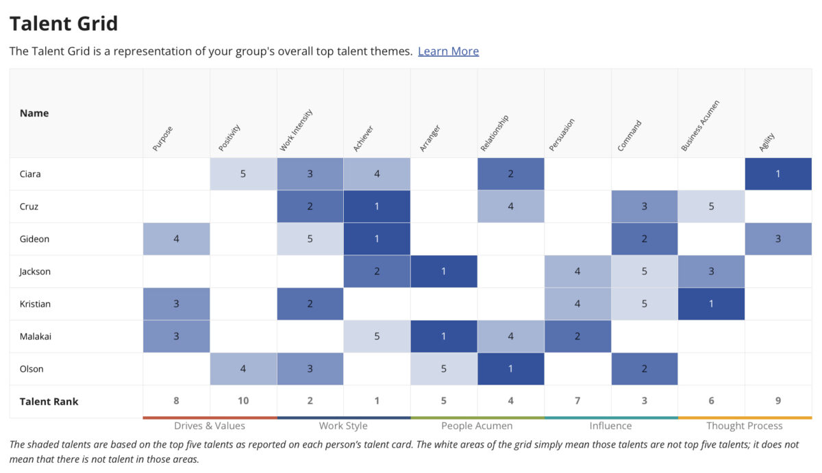 Talent Plus Talent Grid: Individual Strengths in One View